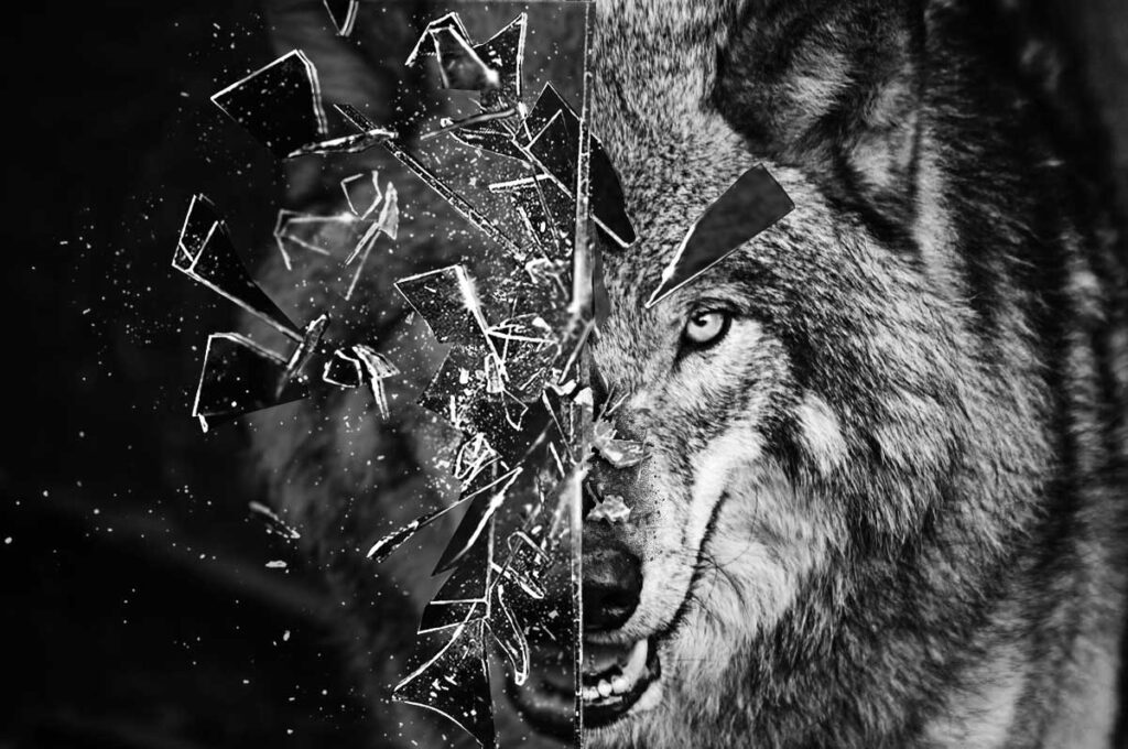 Signs of a Dysfunctional Church | LEAVING THE NETWORK